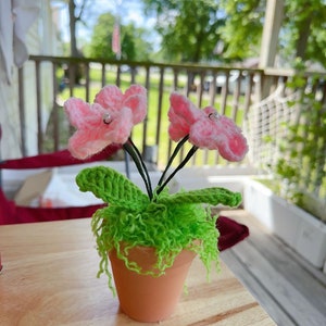 Mini Crochet Flower Pot,hand Made,personalized Gift ,home Decoration ...