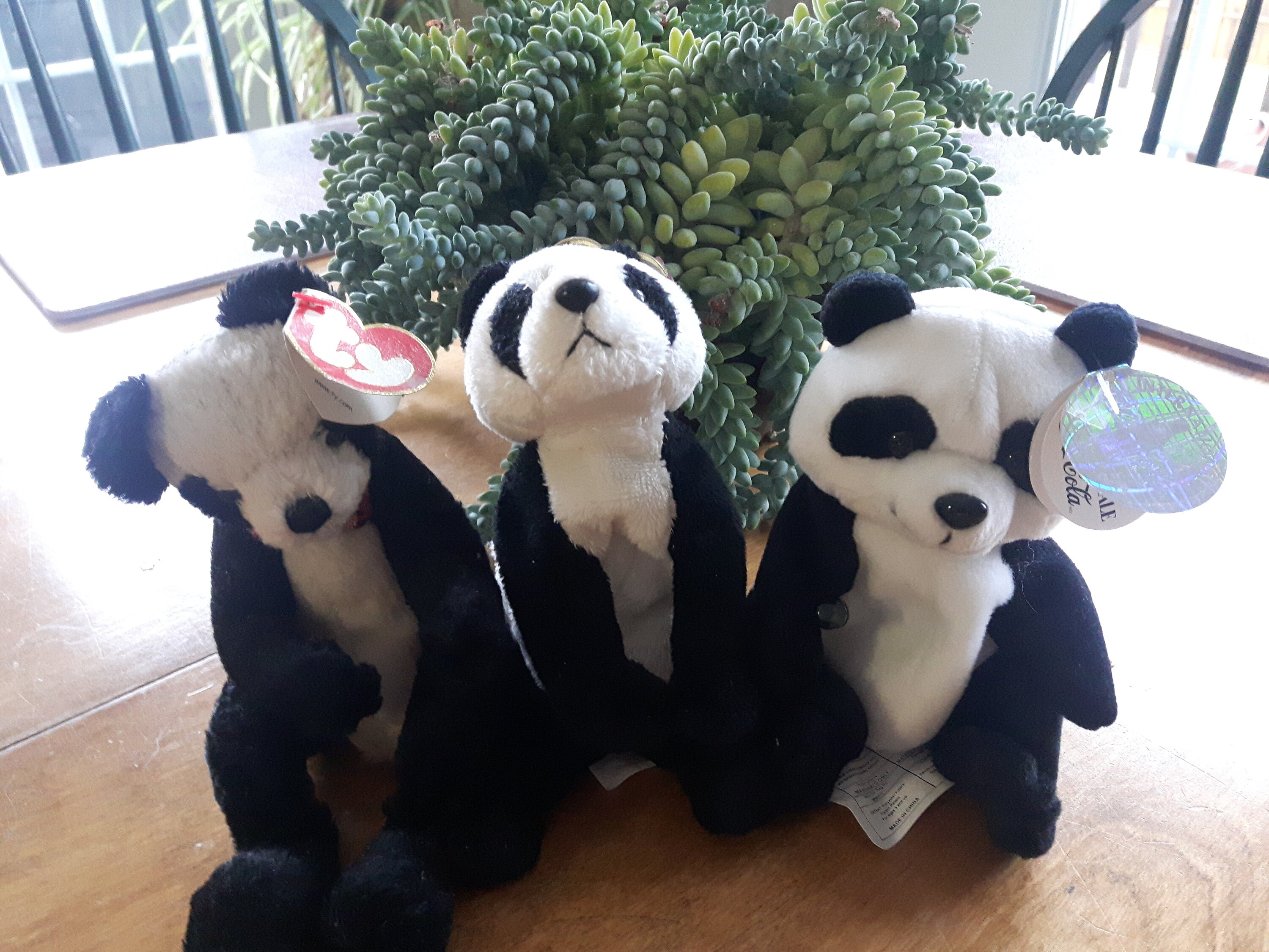 Trio of Vintage Beanie Pandas 1998 Coca Cola International | Etsy