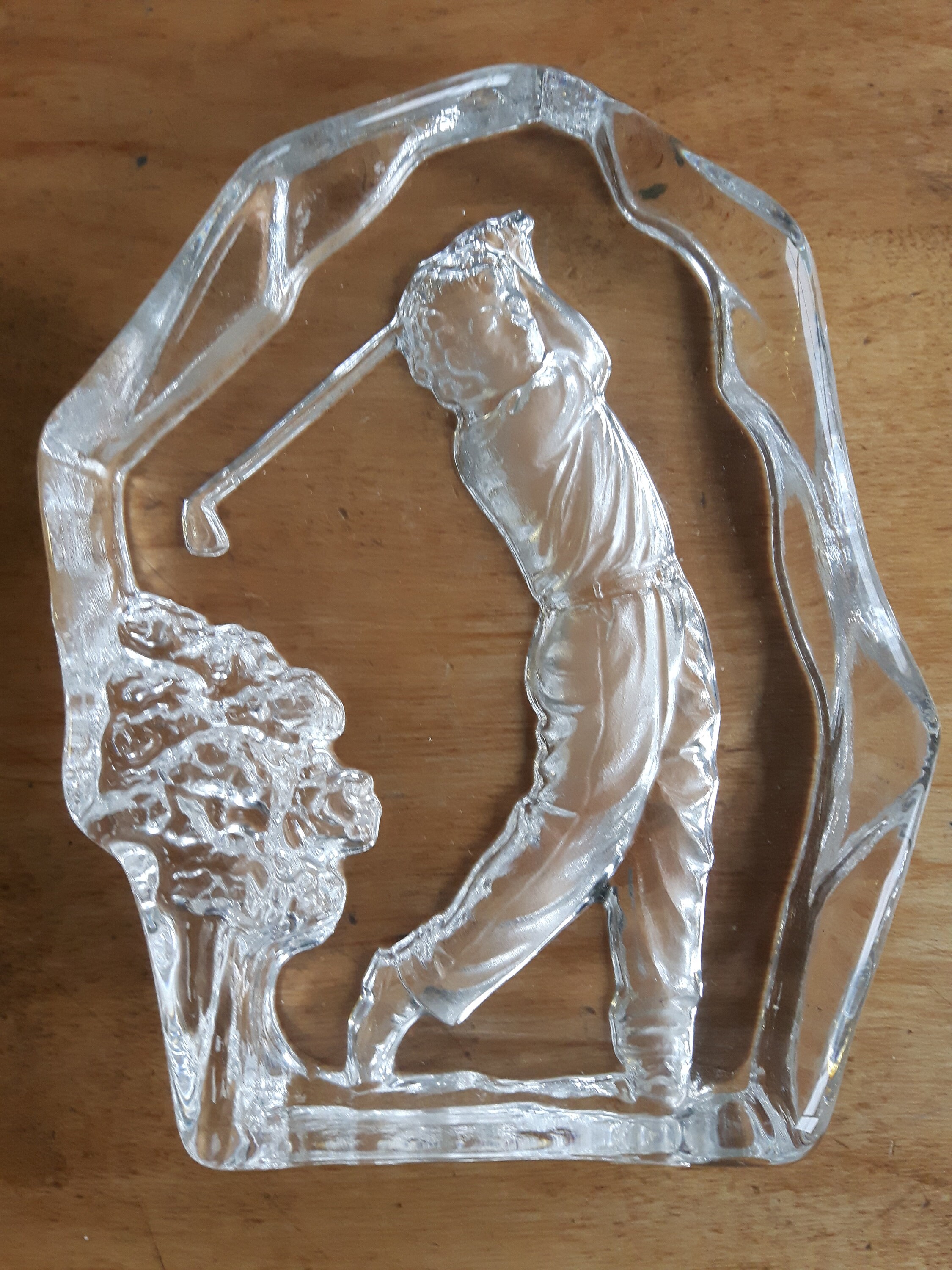 Etched Glass Paperweights Sea Turtle Glass Paperweight | Etsy