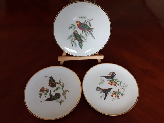 Set of 3 NC Porcelain Exotic Bird Plates Made in West Germany - Etsy