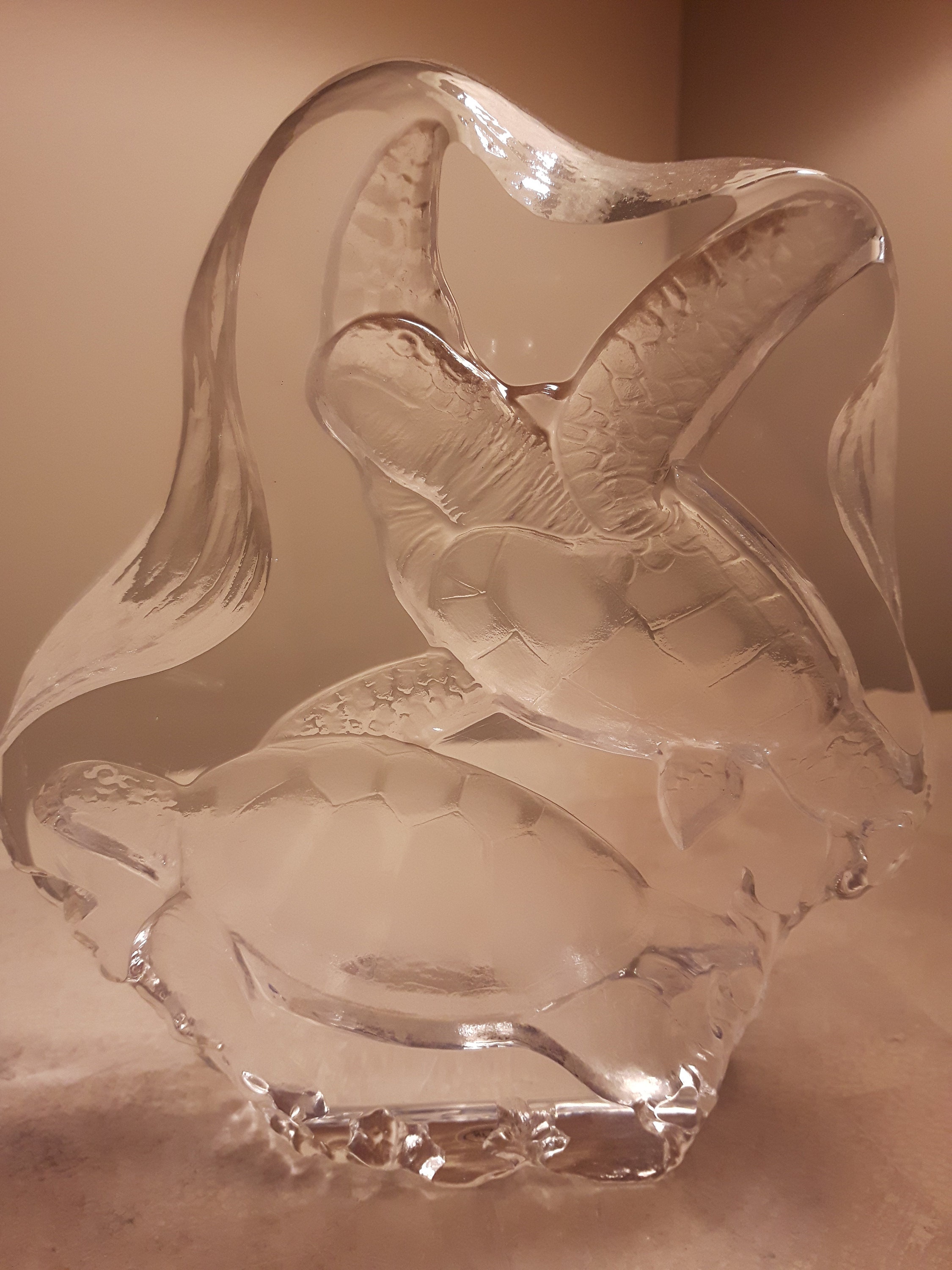 Etched Glass Paperweights Sea Turtle Glass Paperweight | Etsy