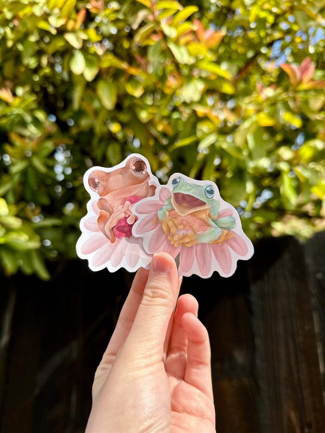 Flower Frog Vinyl Sticker, Laptop and Water Bottle Decals - Etsy