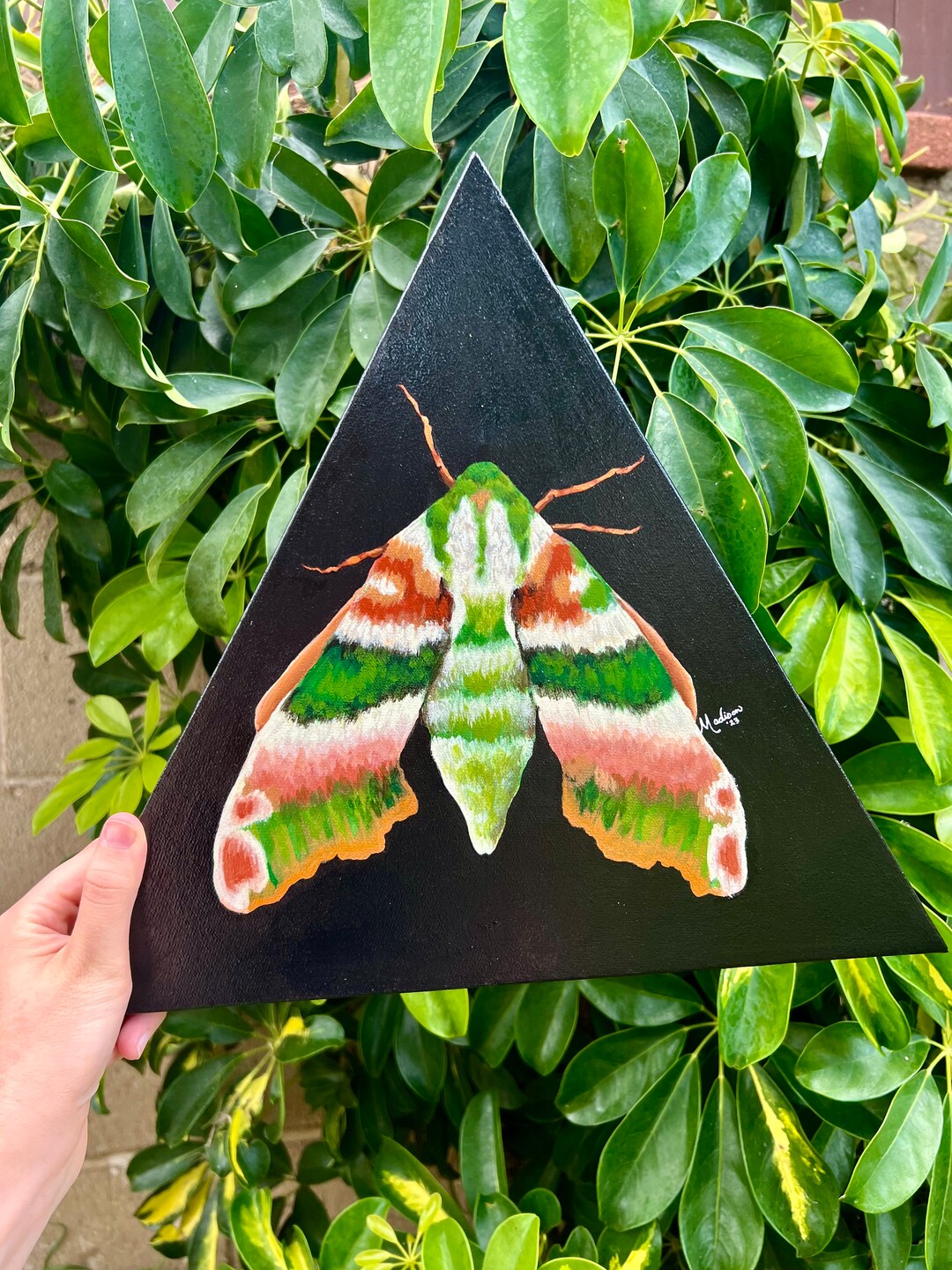 Hand Painted Lime Hawk Moth | Triangle Cotton Canvas | Home Decor ...