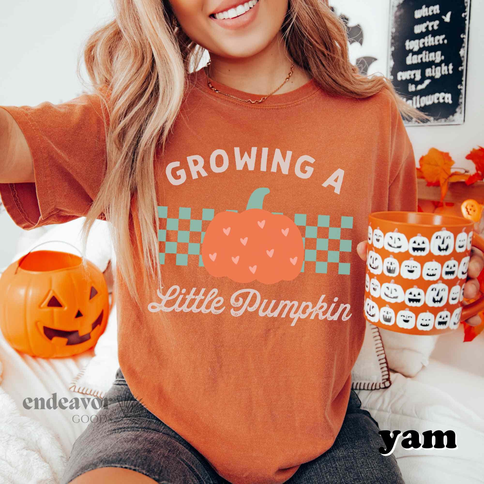 Comfort Colors Fall Pregnancy Announcement Shirt Fall Maternity Shirt ...