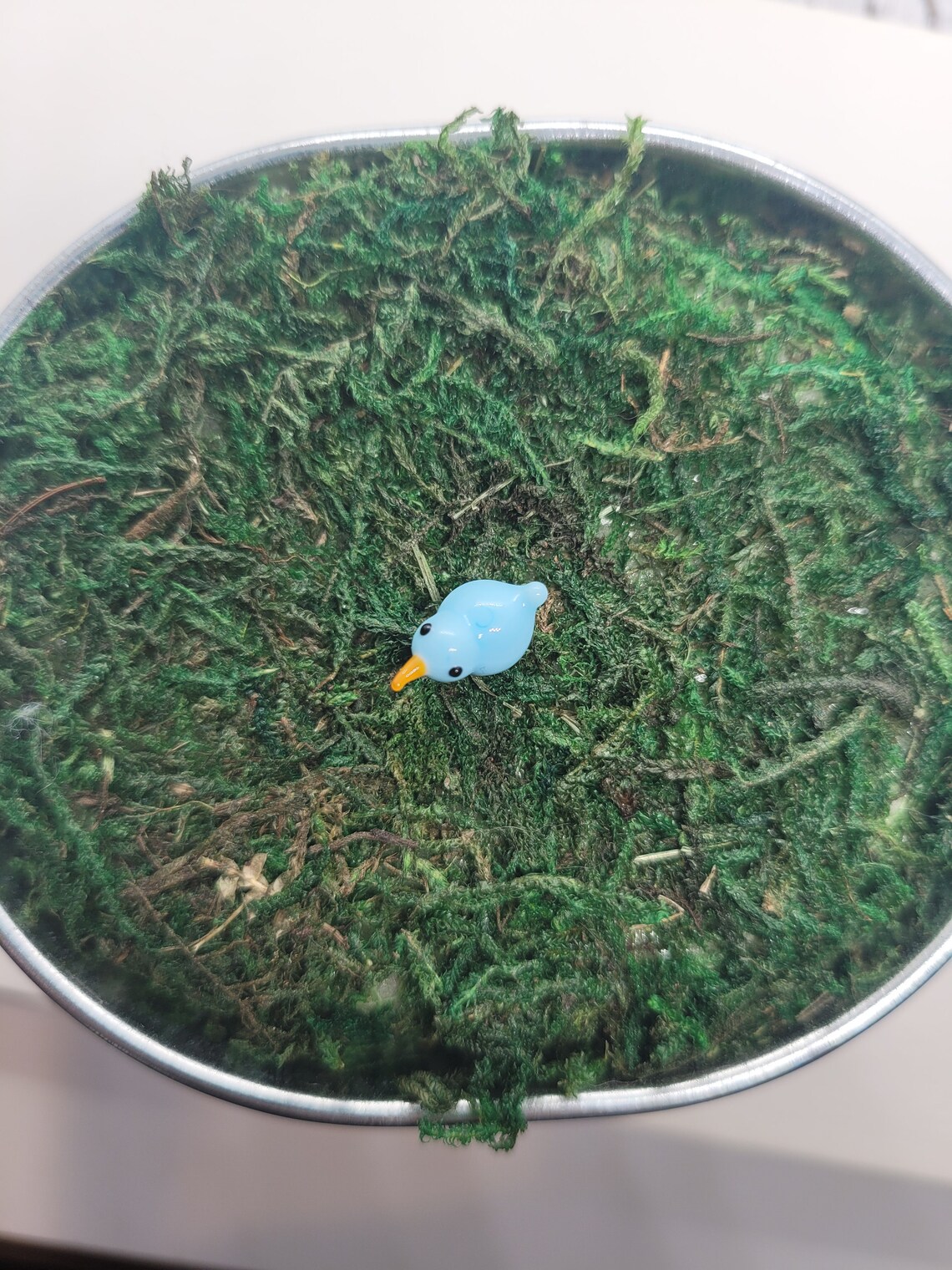 Mini Blue Bird, Fairy Garden Decoration, Terrarium Decor, Plant Poker ...