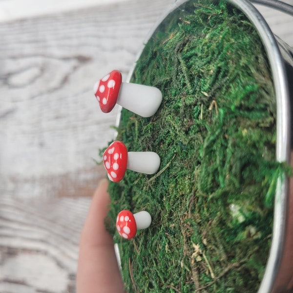 Garden Mushroom Decor - Etsy