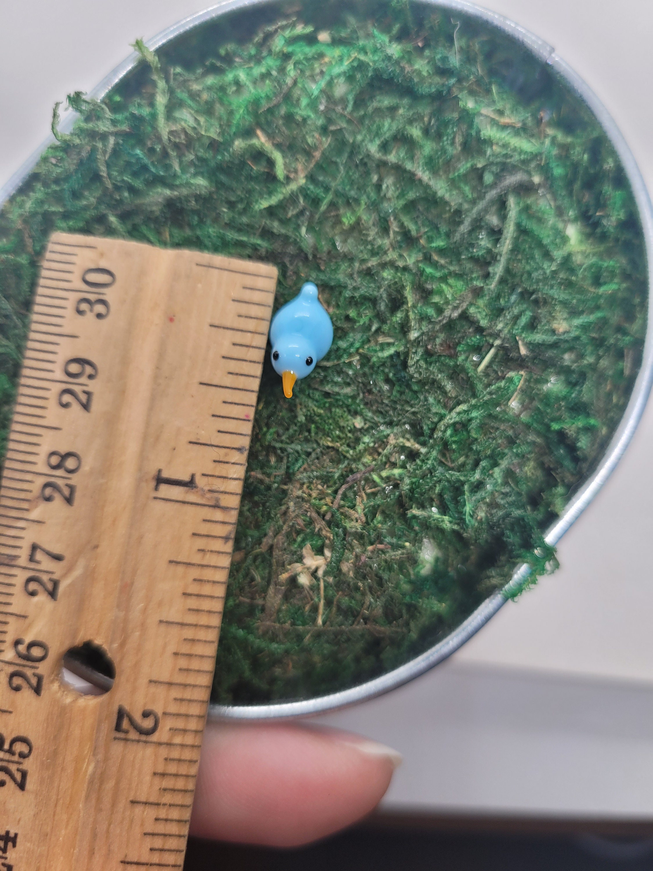 Mini Blue Bird, Fairy Garden Decoration, Terrarium Decor, Plant Poker ...