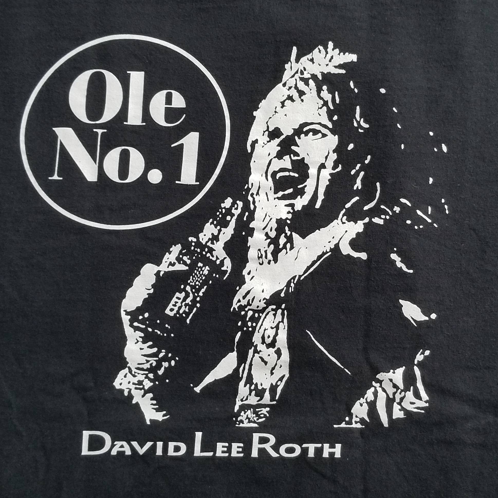 David Lee Roth 2002 Tour Shirt - Etsy