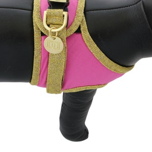 Poppy Harness Pink and Gold - Etsy