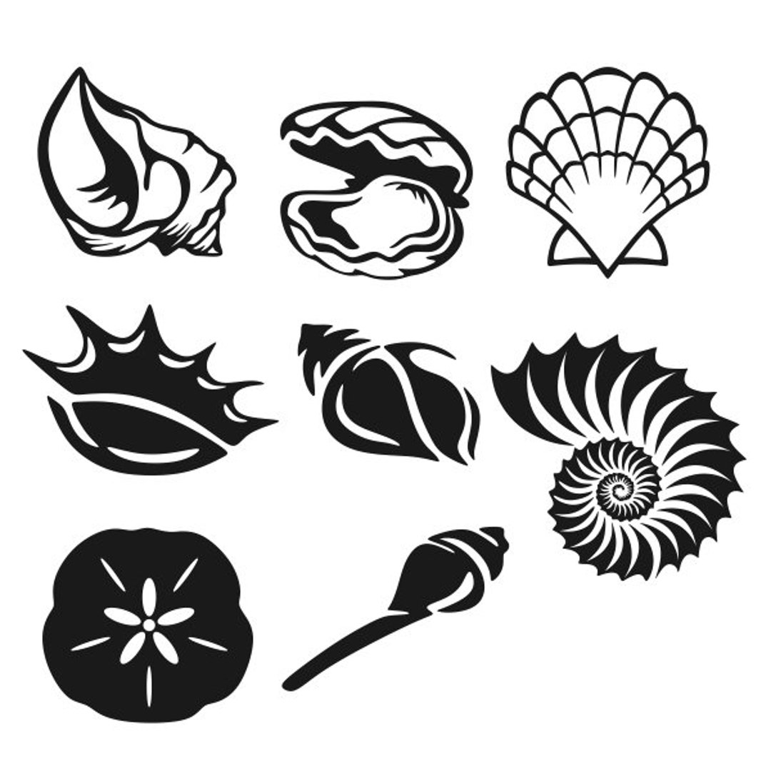 Sea Shell Cuttable Design PNG DXF SVG & Eps File for - Etsy