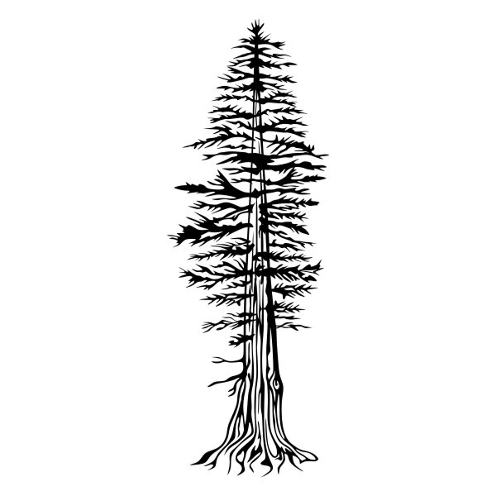 Pacific Northwest Washington State Trees Cuttable Design PNG - Etsy