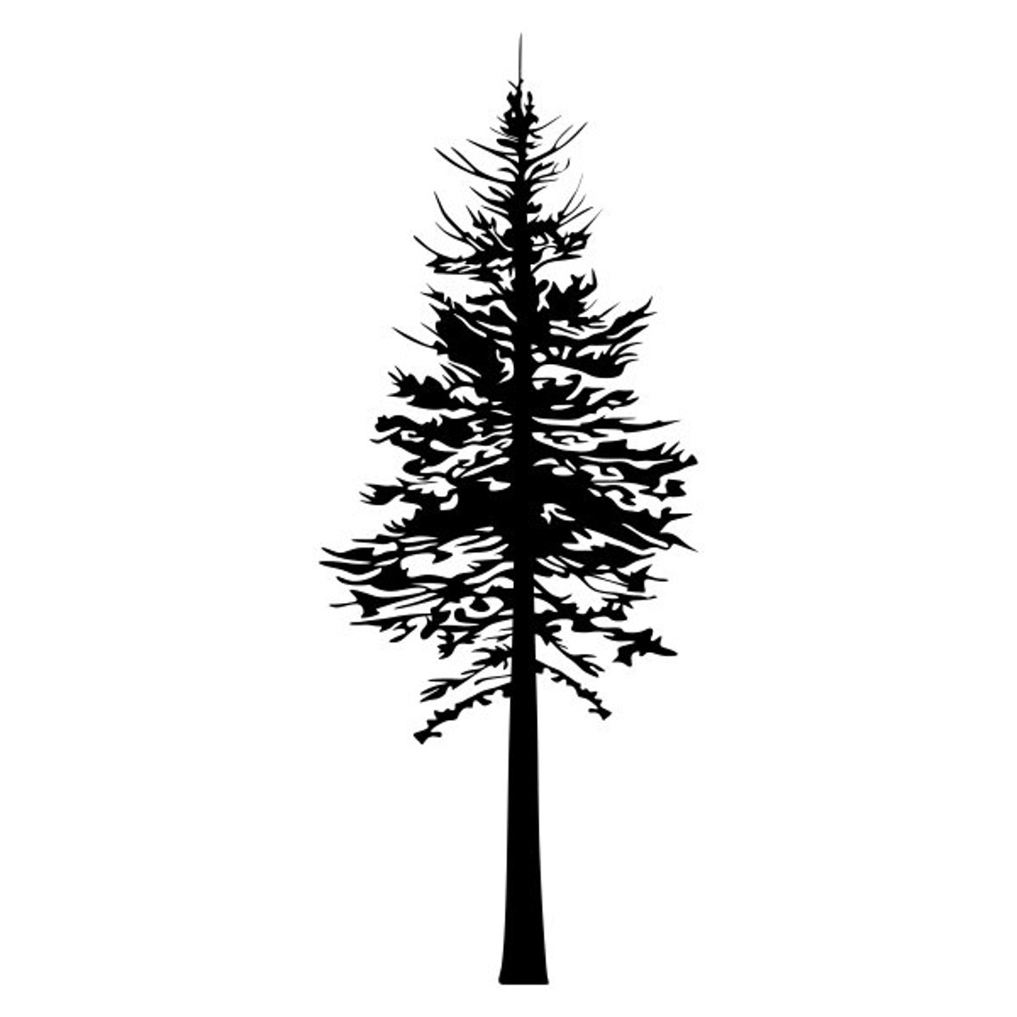 Pacific Northwest Washington State Trees Cuttable Design PNG - Etsy