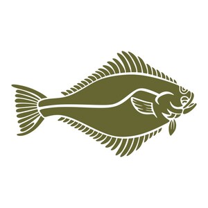 Halibut Fish Cuttable Design PNG DXF SVG & Eps File for - Etsy
