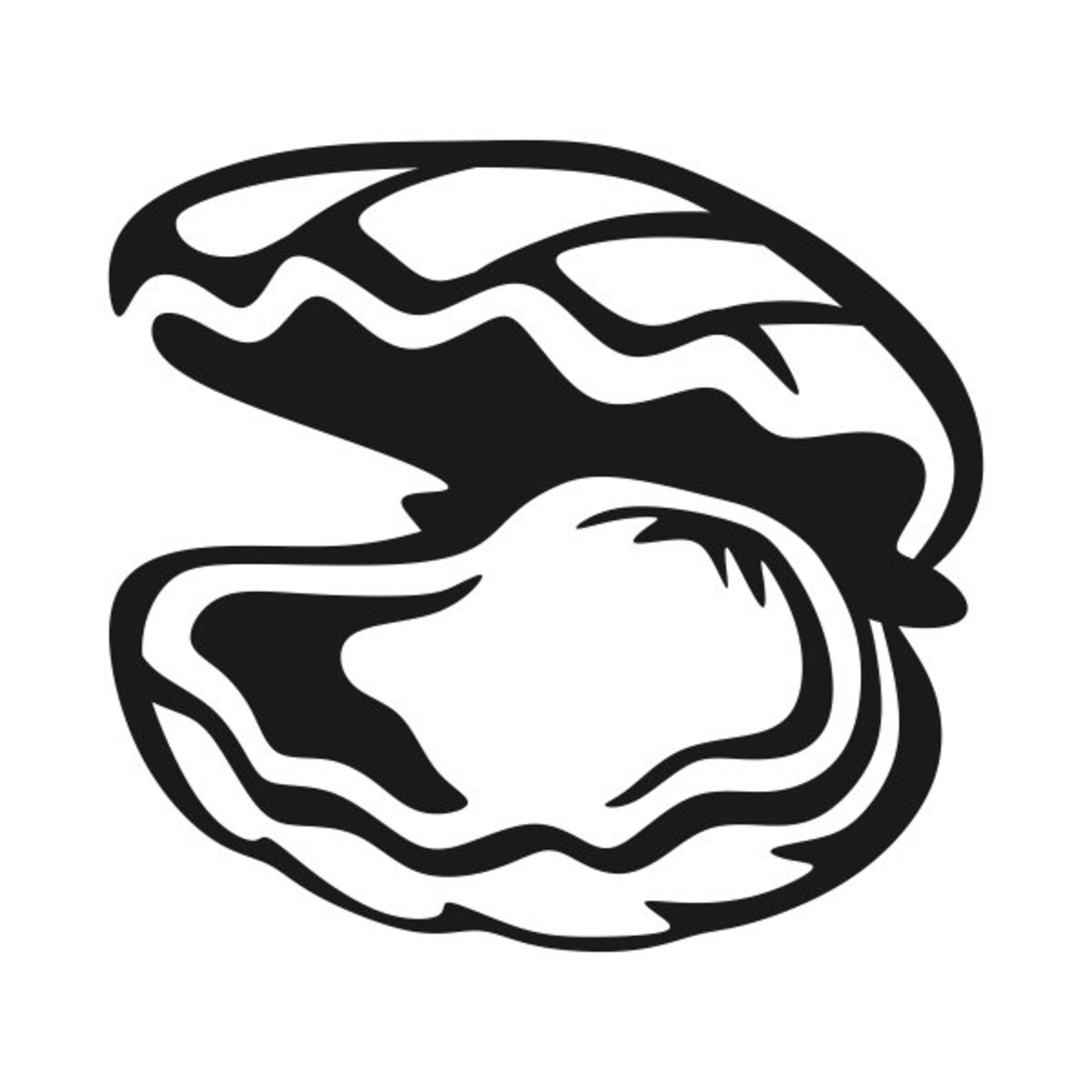 Sea Shell Cuttable Design PNG DXF SVG & Eps File for - Etsy