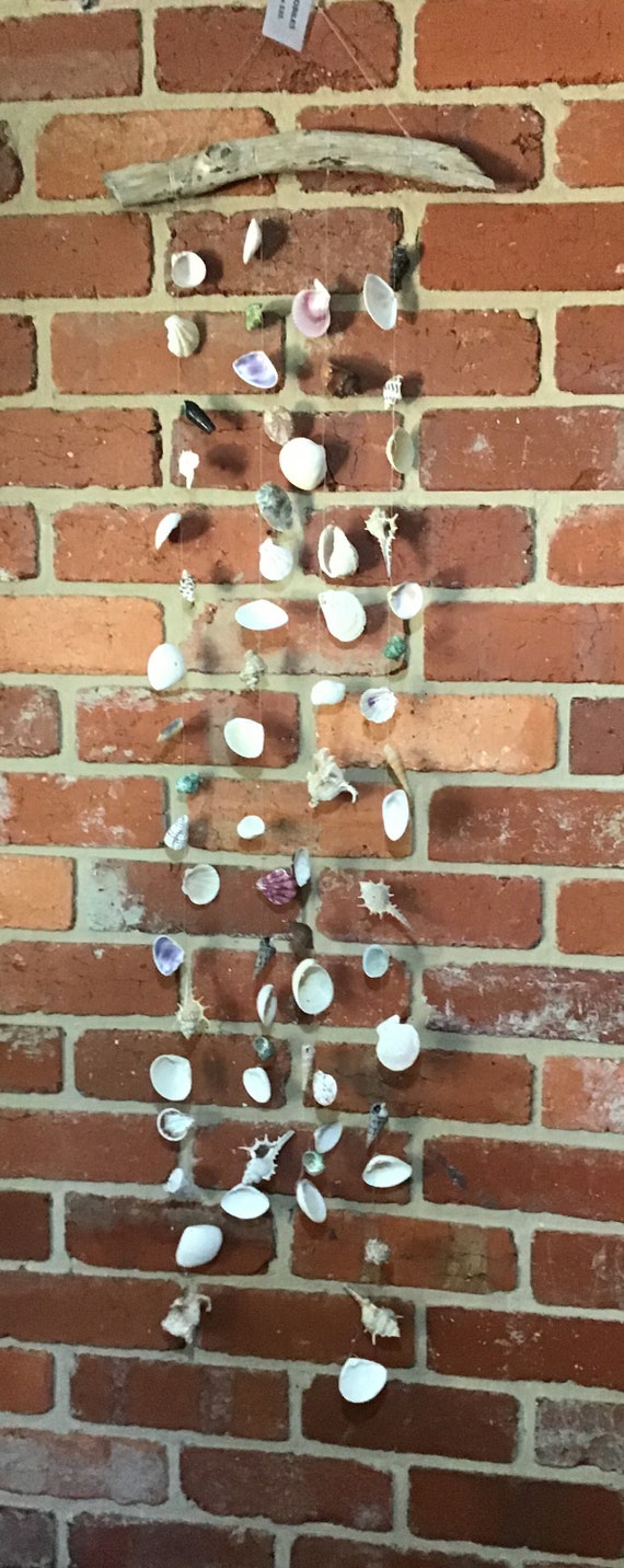 Sea Shell and Driftwood Wind Chime /hanger | Etsy