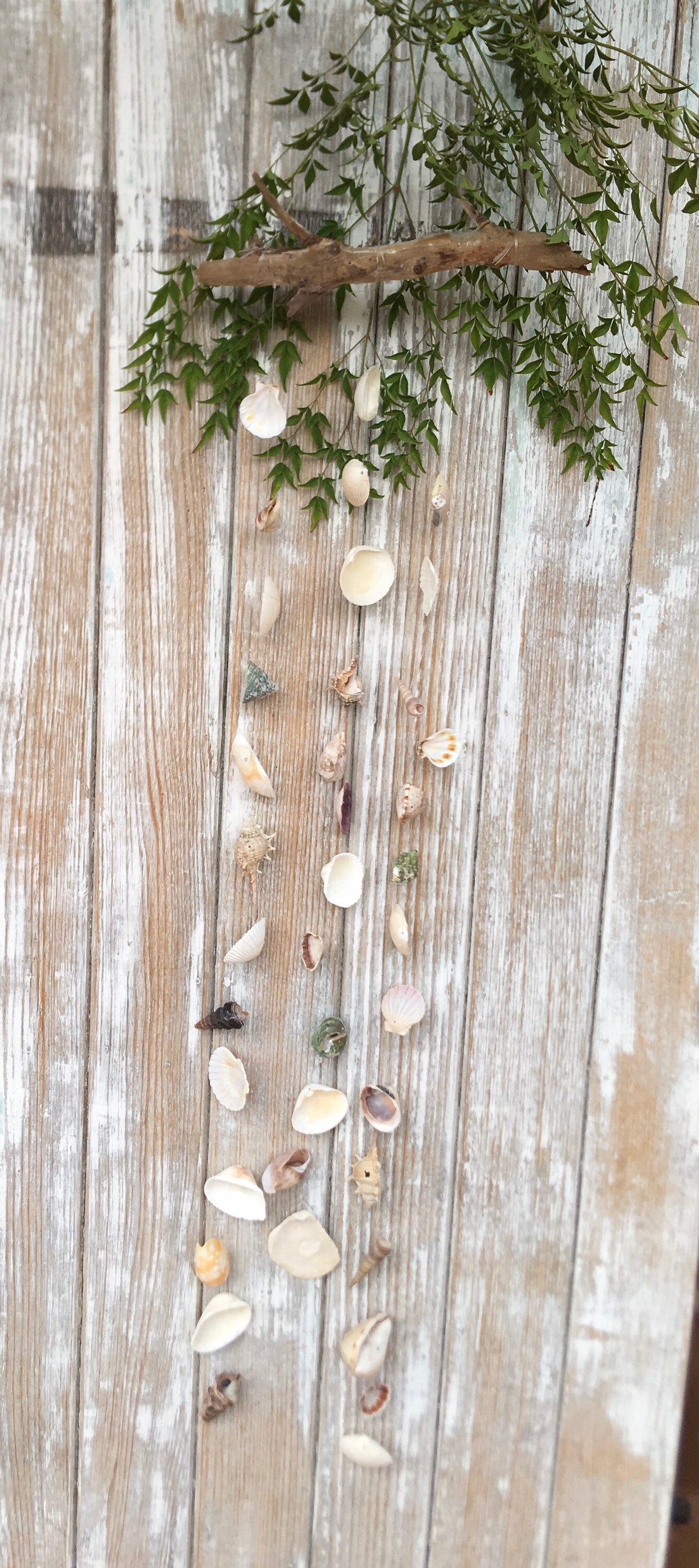 Sea Shells and Driftwood Wind Chime / Hanger - Etsy