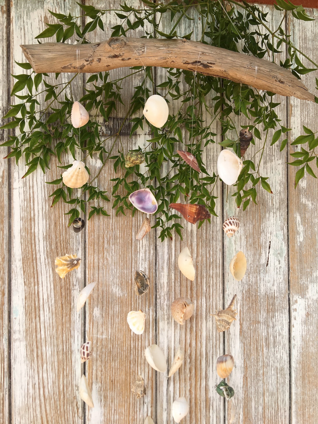 Sea Shell and Driftwood Wind Chime /hanger - Etsy