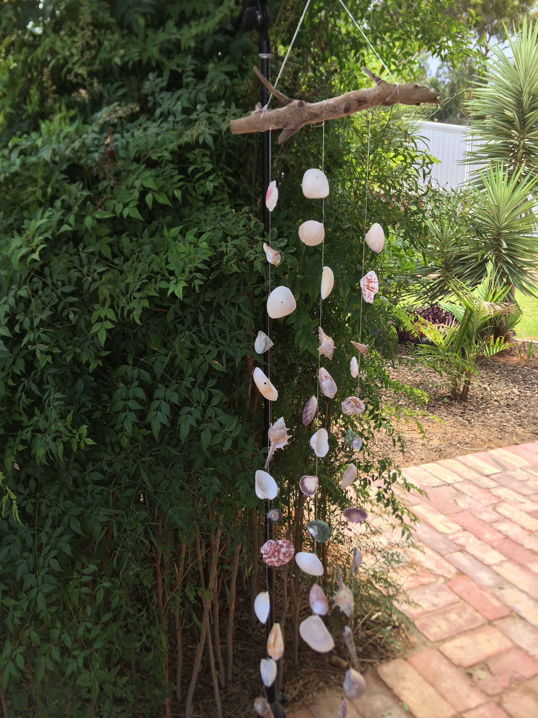 Sea Shells and Driftwood Wind Chime / Hanger - Etsy