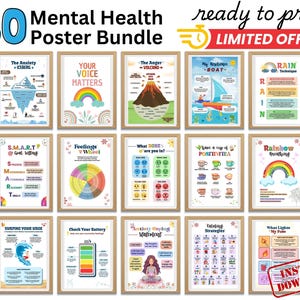 30 Mental Health Poster Counseling Office Therapy Decor SEL, Zones of ...