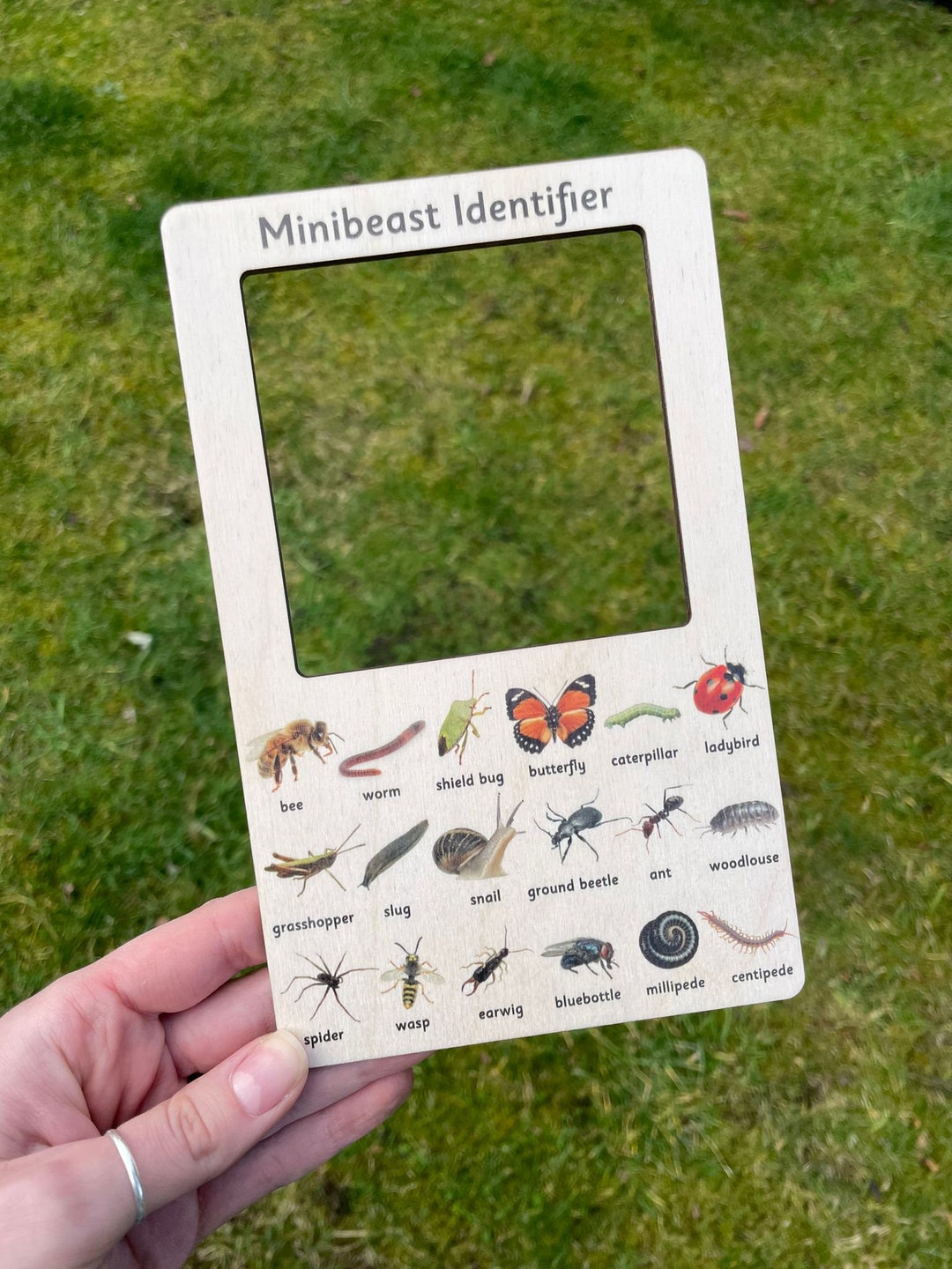 Wooden Minibeast Identifier for Kids Montessori Learning Tool for ...