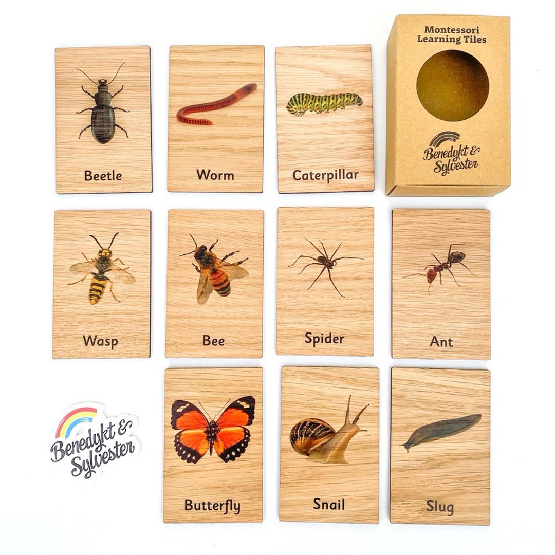 Montessori Wooden Minibeasts Insects Learning Tiles 10 Card Set (like 3 ...