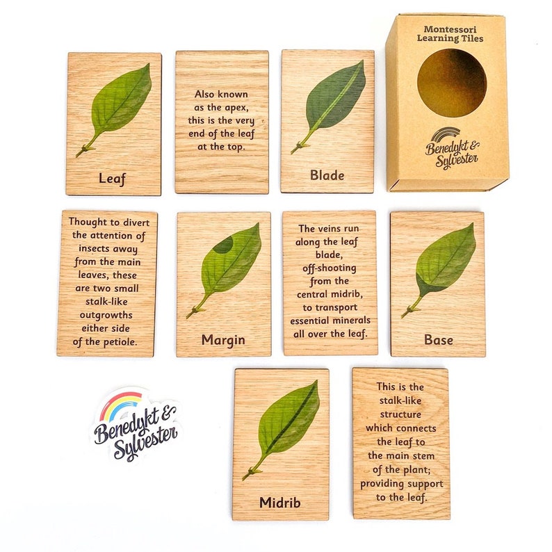 Montessori Wooden Parts of a Leaf Learning Tiles 9 Card Set (like 3 ...