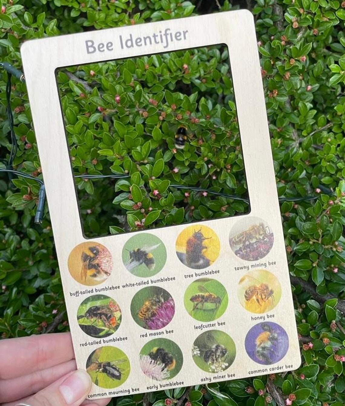 Wooden Bee Identifier for Kids Montessori Learning Tool for | Etsy