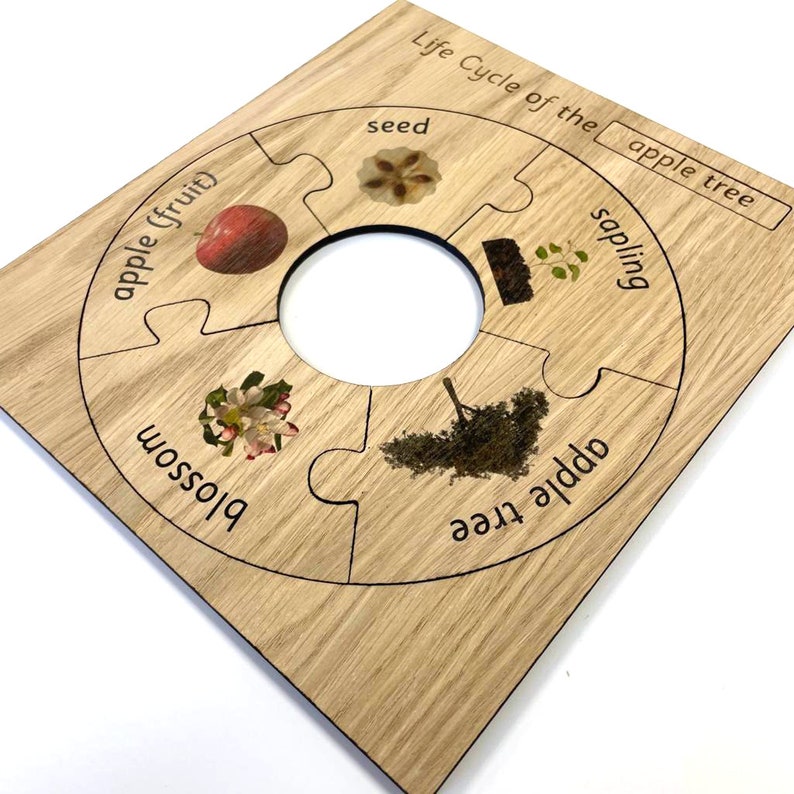 Wooden Life Cycle Puzzle Kids Montessori Learning Tool for EYFS ...