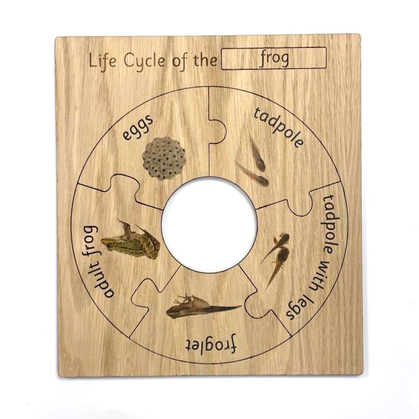 Wooden Life Cycle Puzzle Kids Montessori Learning Tool for EYFS ...