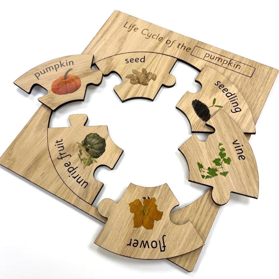 Wooden Life Cycle Puzzle Kids Montessori Learning Tool for EYFS ...