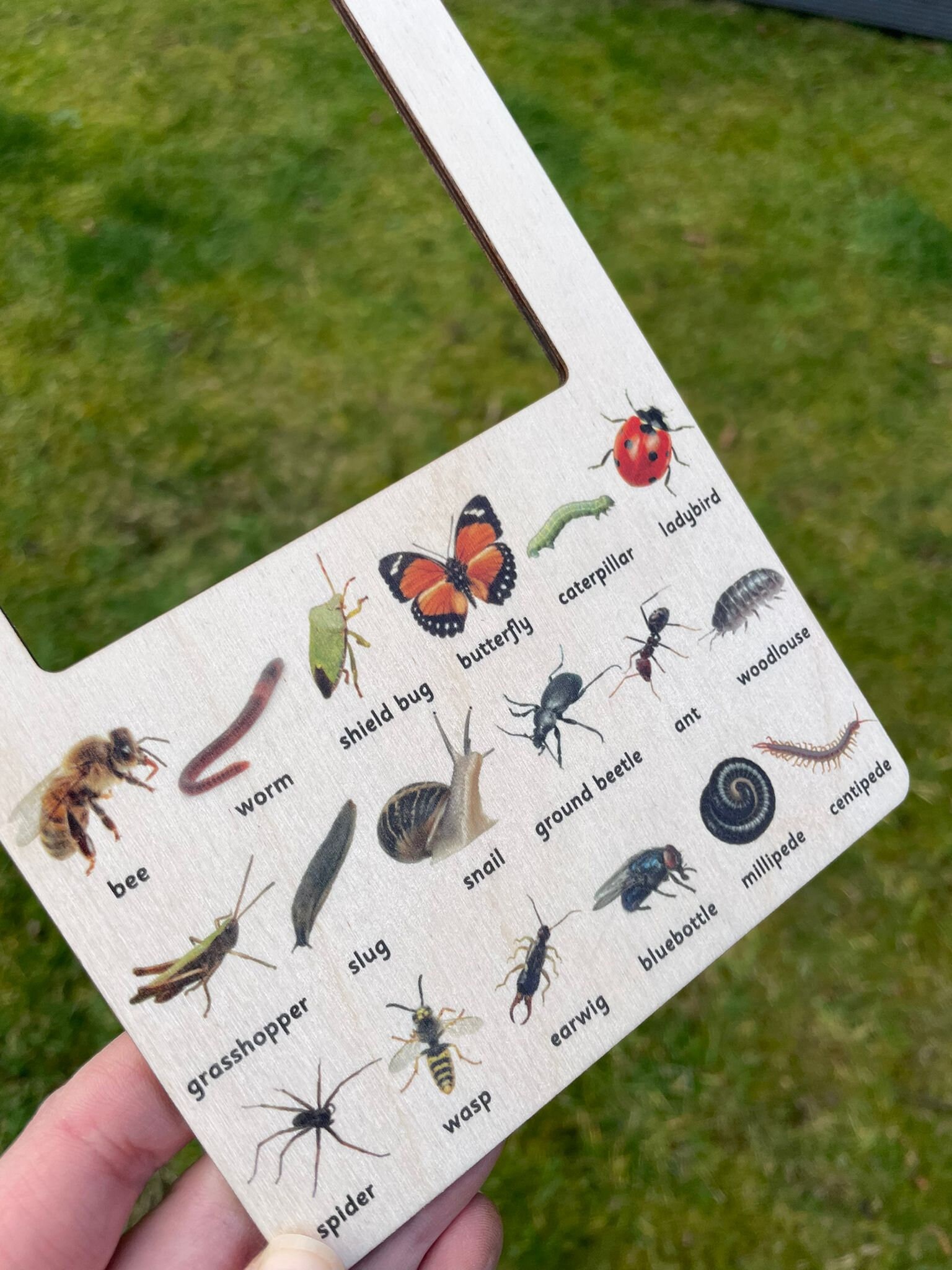 Wooden Minibeast Identifier for Kids Montessori Learning Tool for ...