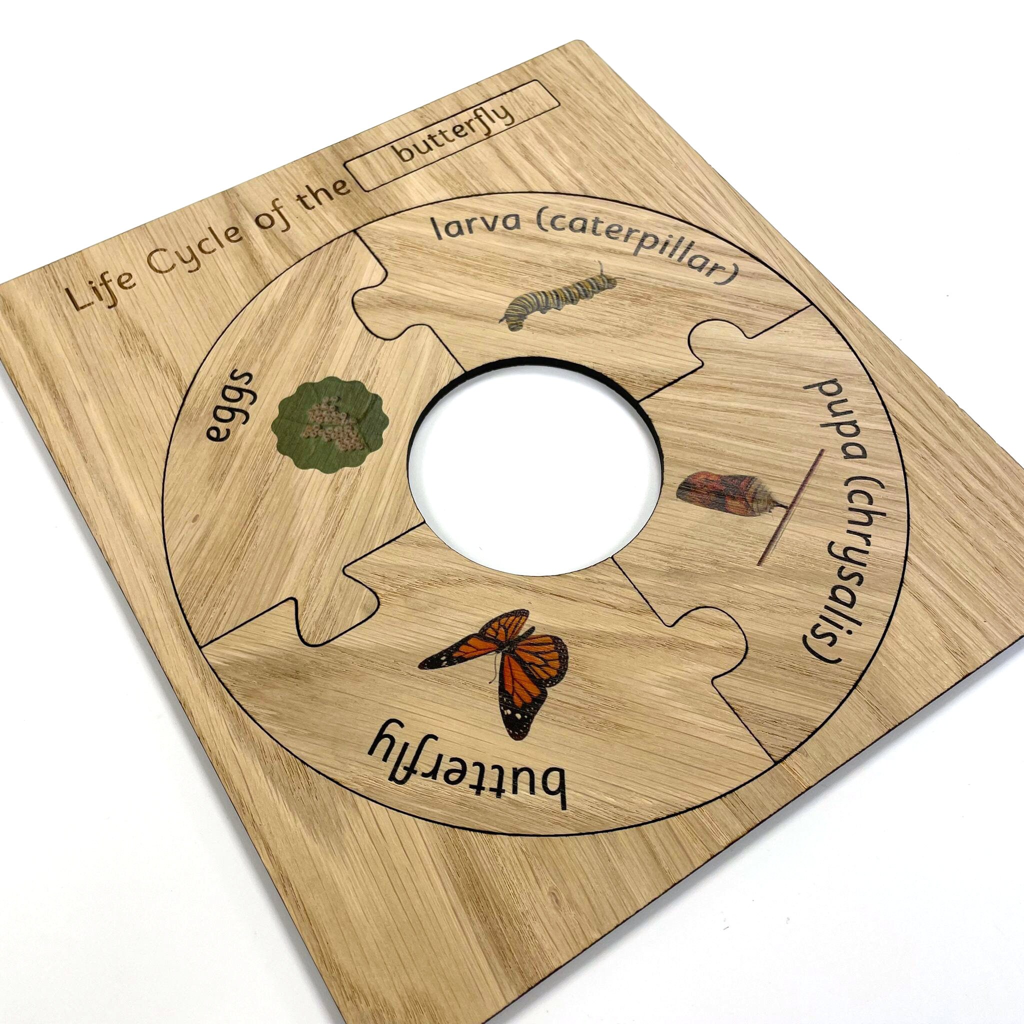 Wooden Life Cycle Puzzle Kids Montessori Learning Tool for EYFS ...