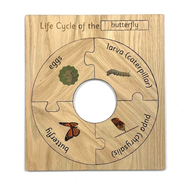 Wooden Life Cycle Puzzle Kids Montessori Learning Tool for EYFS ...
