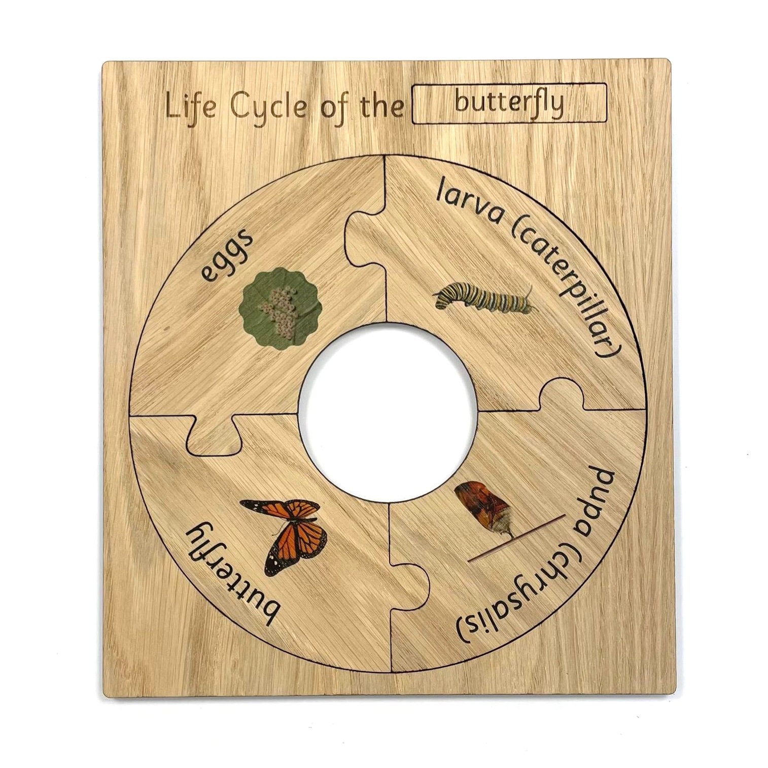Wooden Life Cycle Puzzle Kids Montessori Learning Tool for EYFS ...