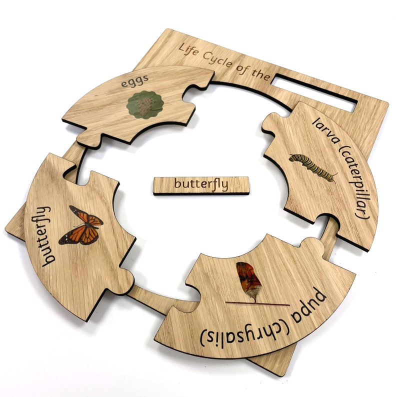 Wooden Life Cycle Puzzle Kids Montessori Learning Tool for EYFS ...