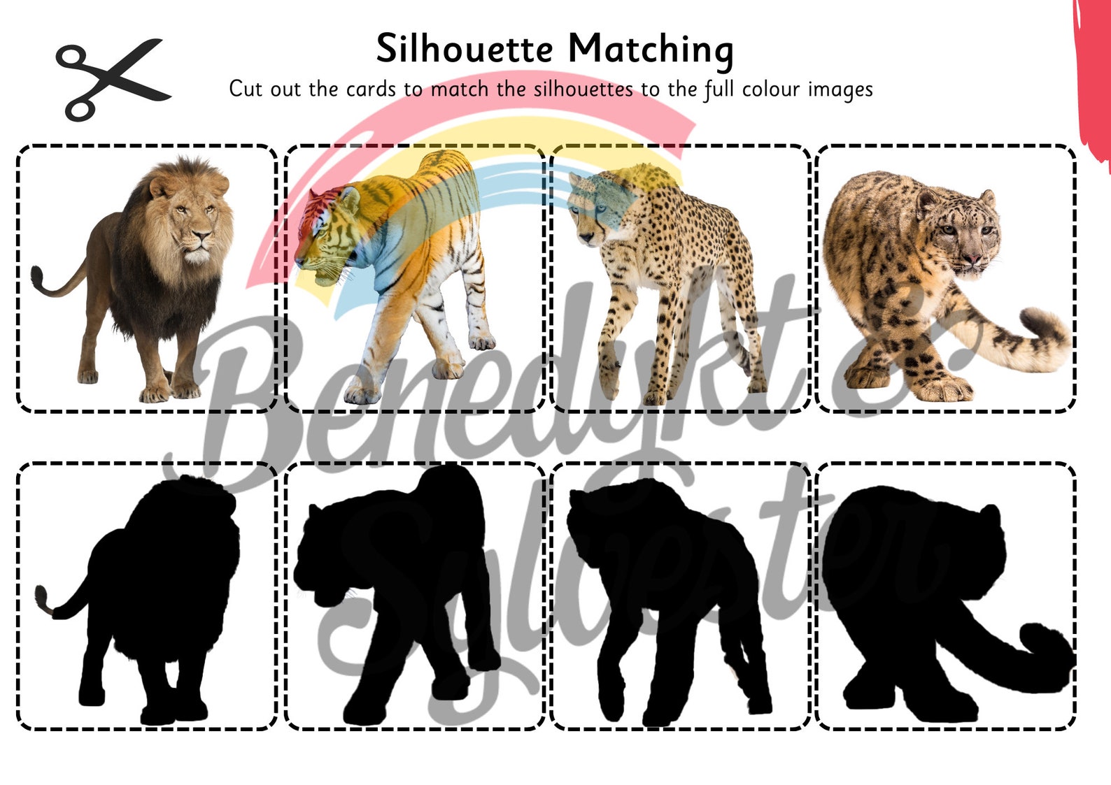 Montessori Activities 3 Part Cards Big Cats Lions Leopards Tigers ...