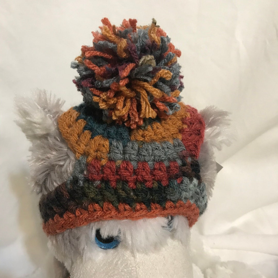 Dog Hat, Small Dog Pompom Hat, Dog Crochet Hat, Knitted Dog Hat, Color ...