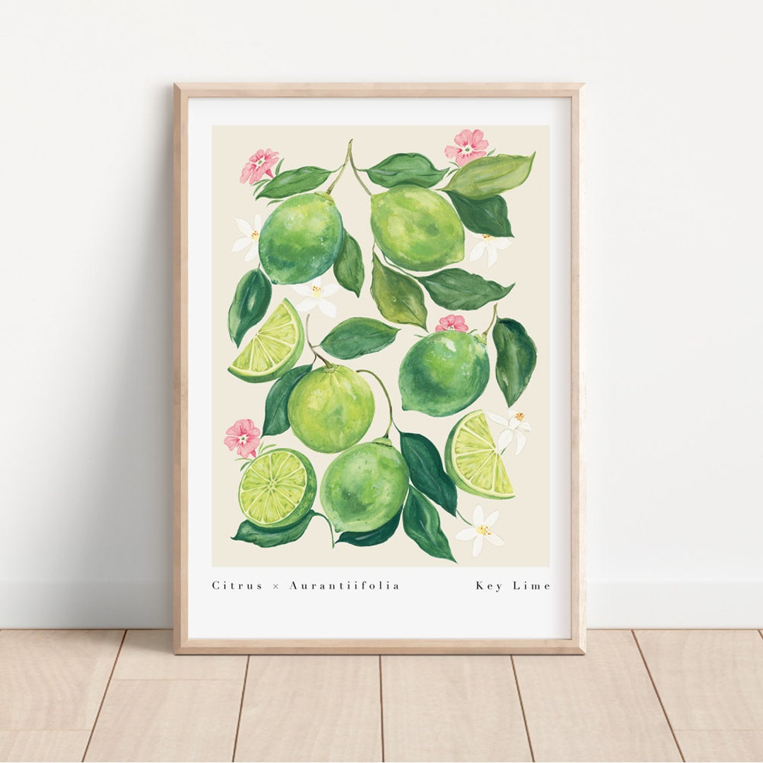 Key Lime Art Print Lime Fruit Wall Art Lemon and Lime Print Kitchen ...