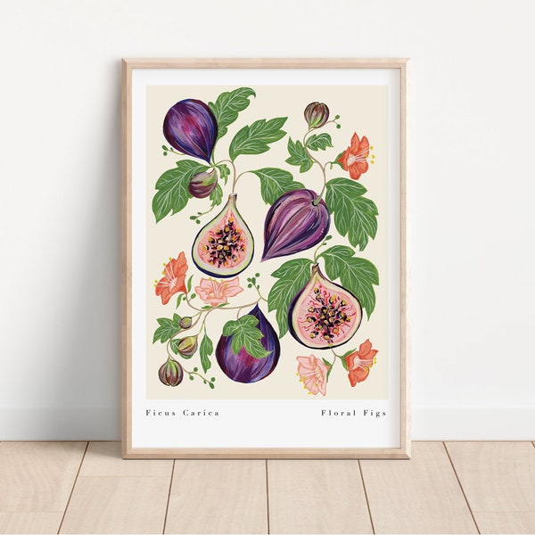 Fig Print - Etsy