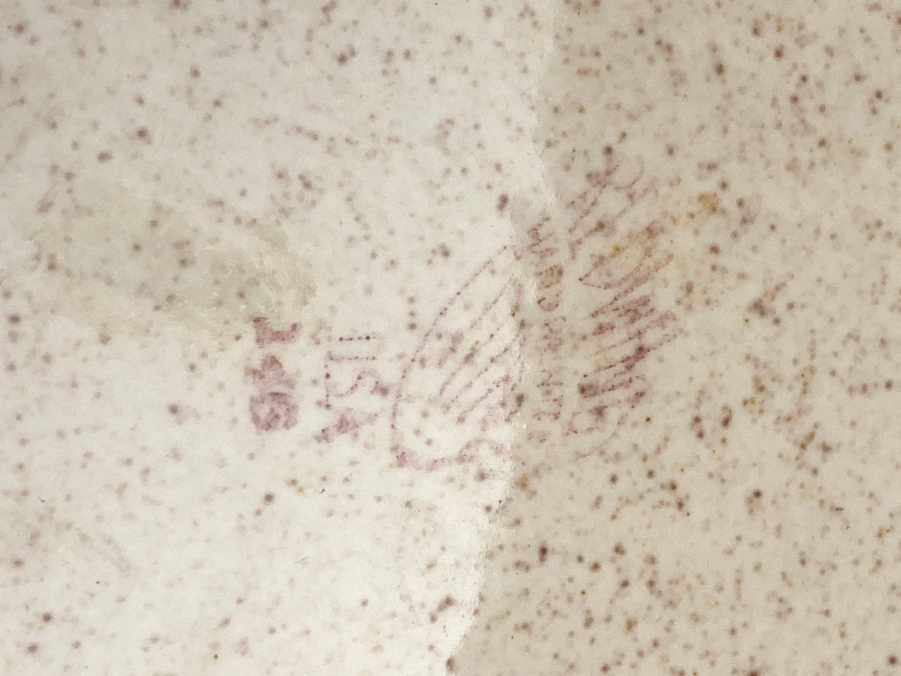 Red Wing Tampico Pattern Hanging Melons 8 Plate Red - Etsy