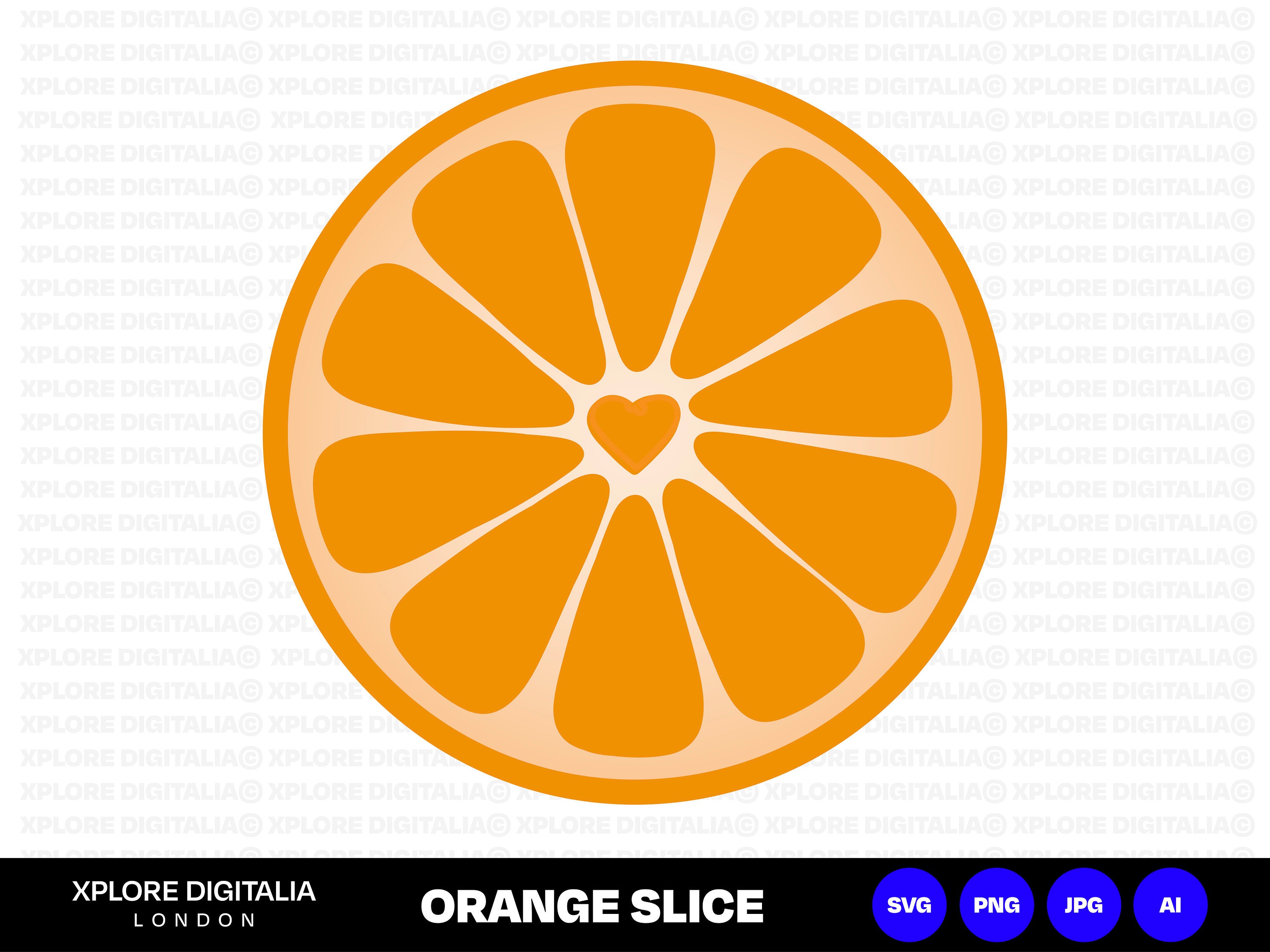 Half Orange Slice Vector
