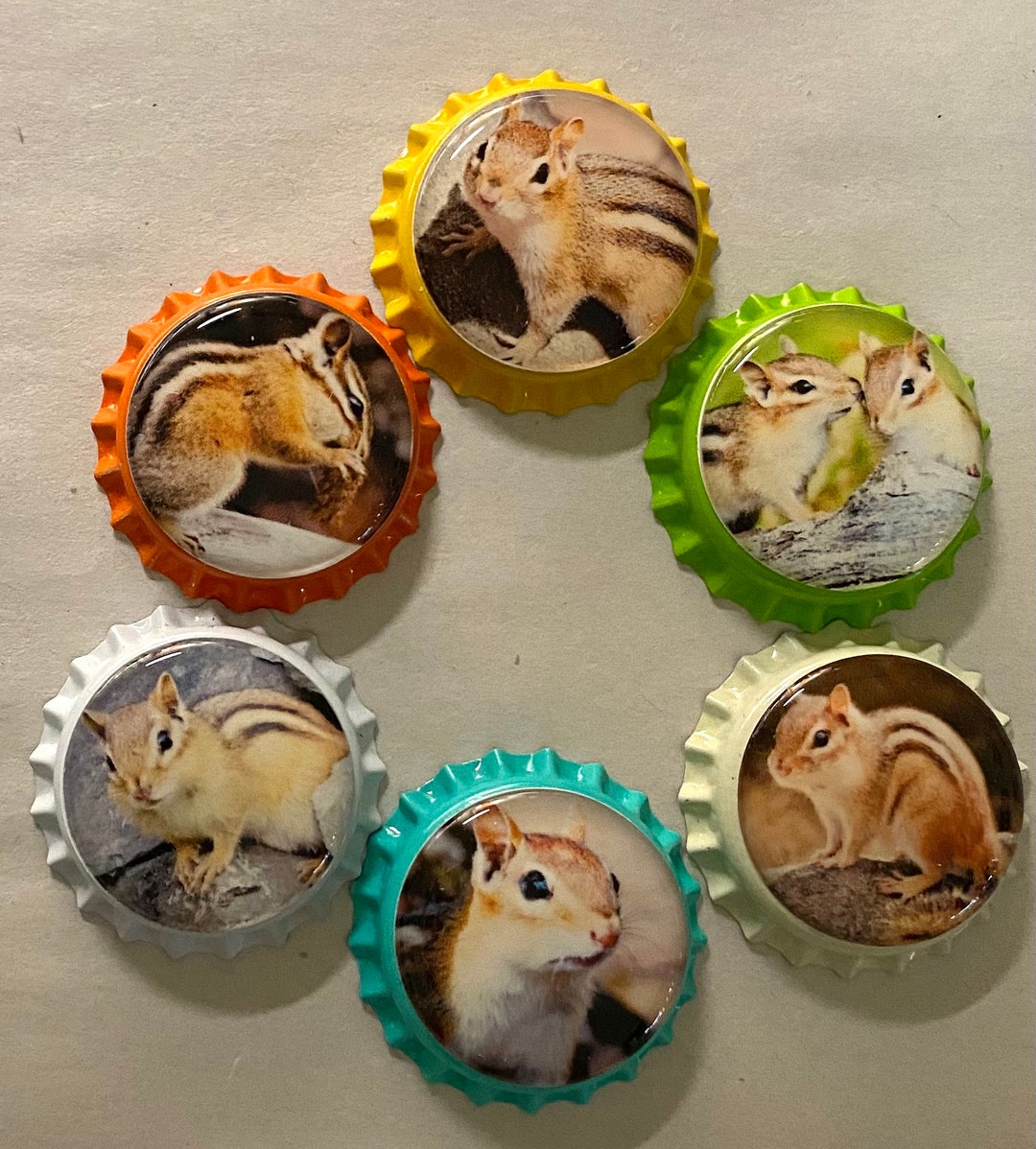 Chipmunk Chipmunks Magnets Magnet Bottle Cap Magnets - Etsy