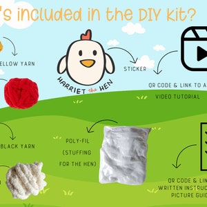 Harriet the Hen DIY Kit, DIY Kit, Hen, Chunky Knit Hen, Learn How to ...