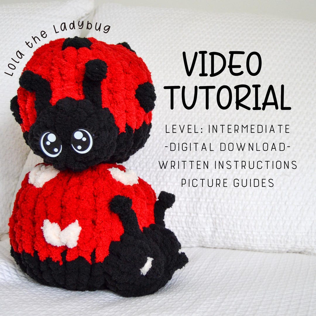 Hand Knit Ladybug Pattern, Video Tutorial, Intermediate, Learn How to ...
