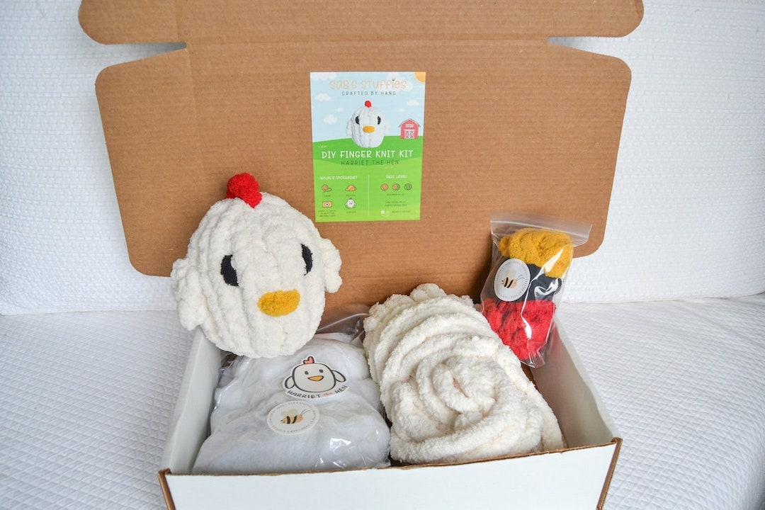 Harriet the Hen DIY Kit, DIY Kit, Hen, Chunky Knit Hen, Learn How to ...