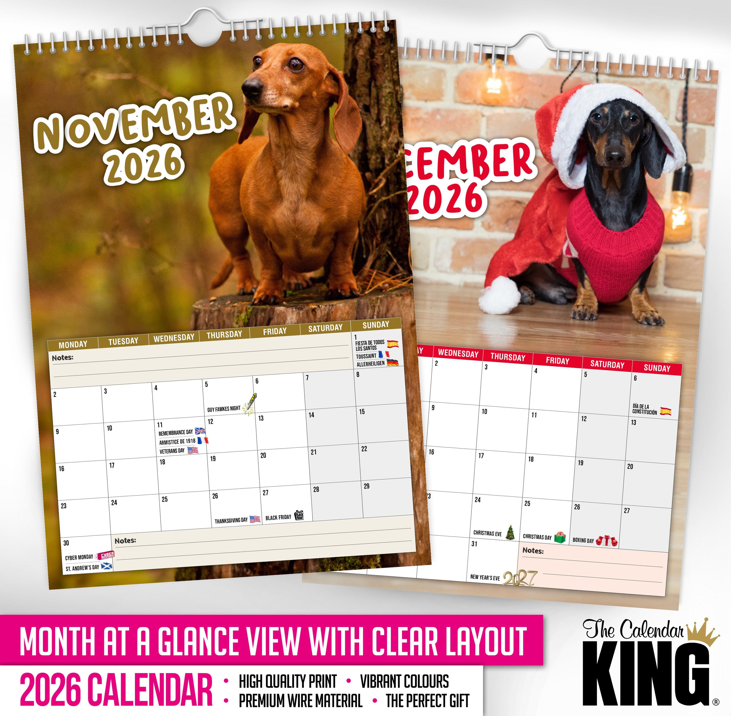 Cheeky Dachshunds - 2026 Wall Calendar // Pet / Animal / Christmas ...