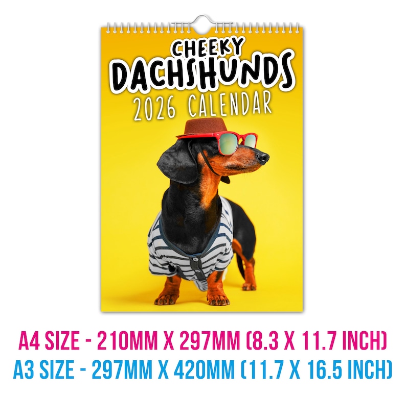 Cheeky Dachshunds - 2026 Wall Calendar // Pet / Animal / Christmas ...