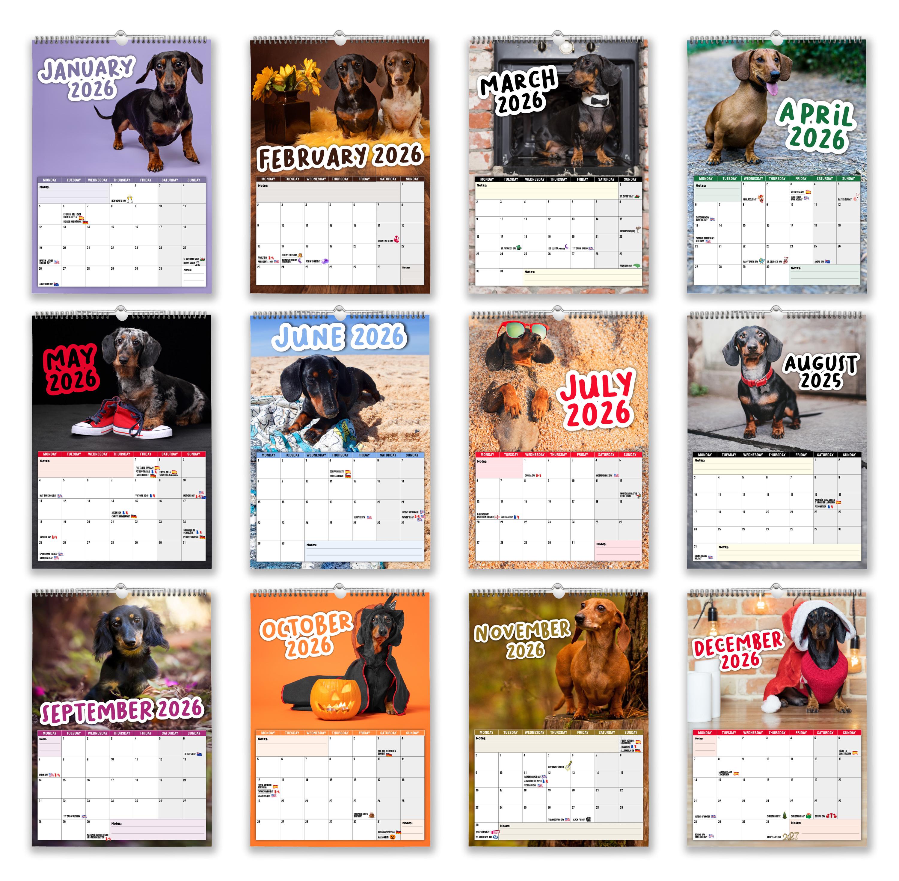 Cheeky Dachshunds - 2026 Wall Calendar // Pet / Animal / Christmas ...