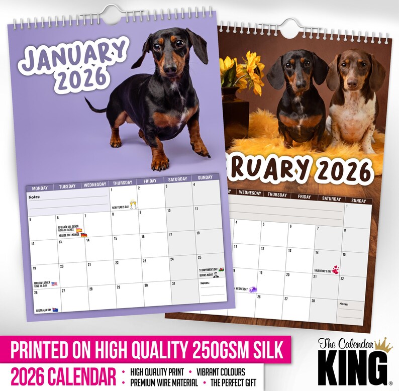 Cheeky Dachshunds - 2026 Wall Calendar // Pet / Animal / Christmas ...