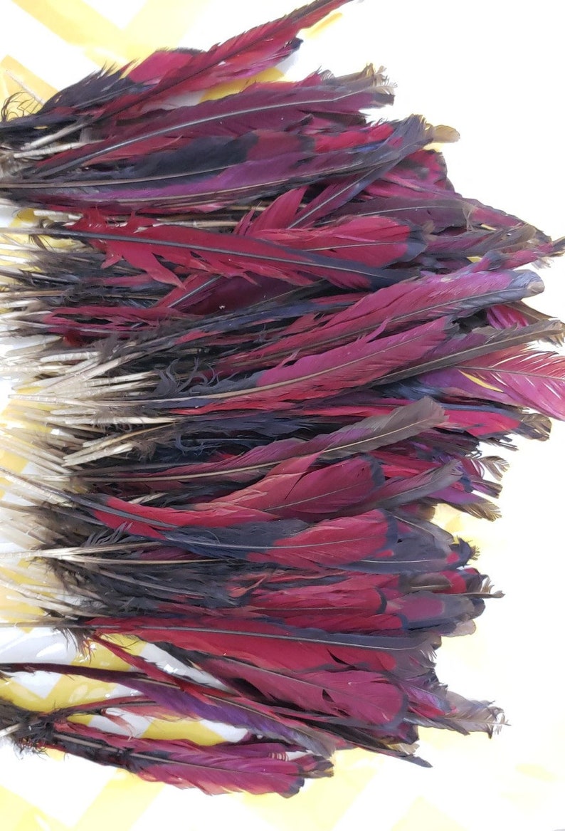 Pluma De Aluko , African Red Turako Bird .ifa Babalawo - Etsy